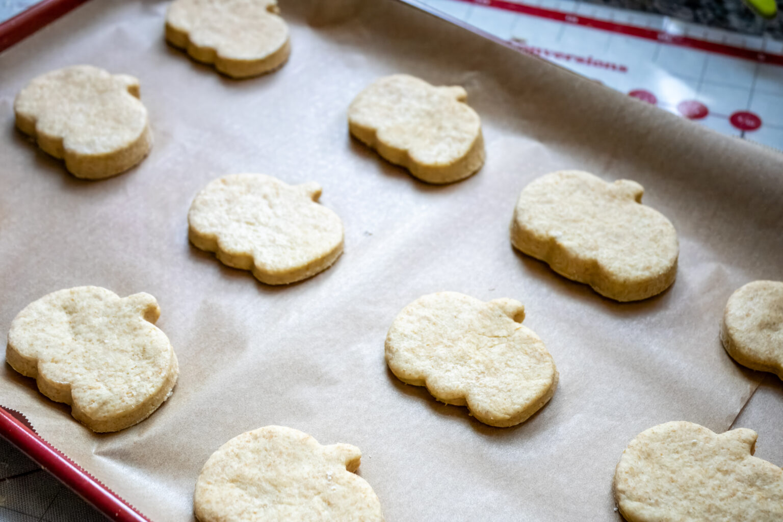 Flaky Sourdough Discard Biscuits - Best Recipe! - Renaissance Alana