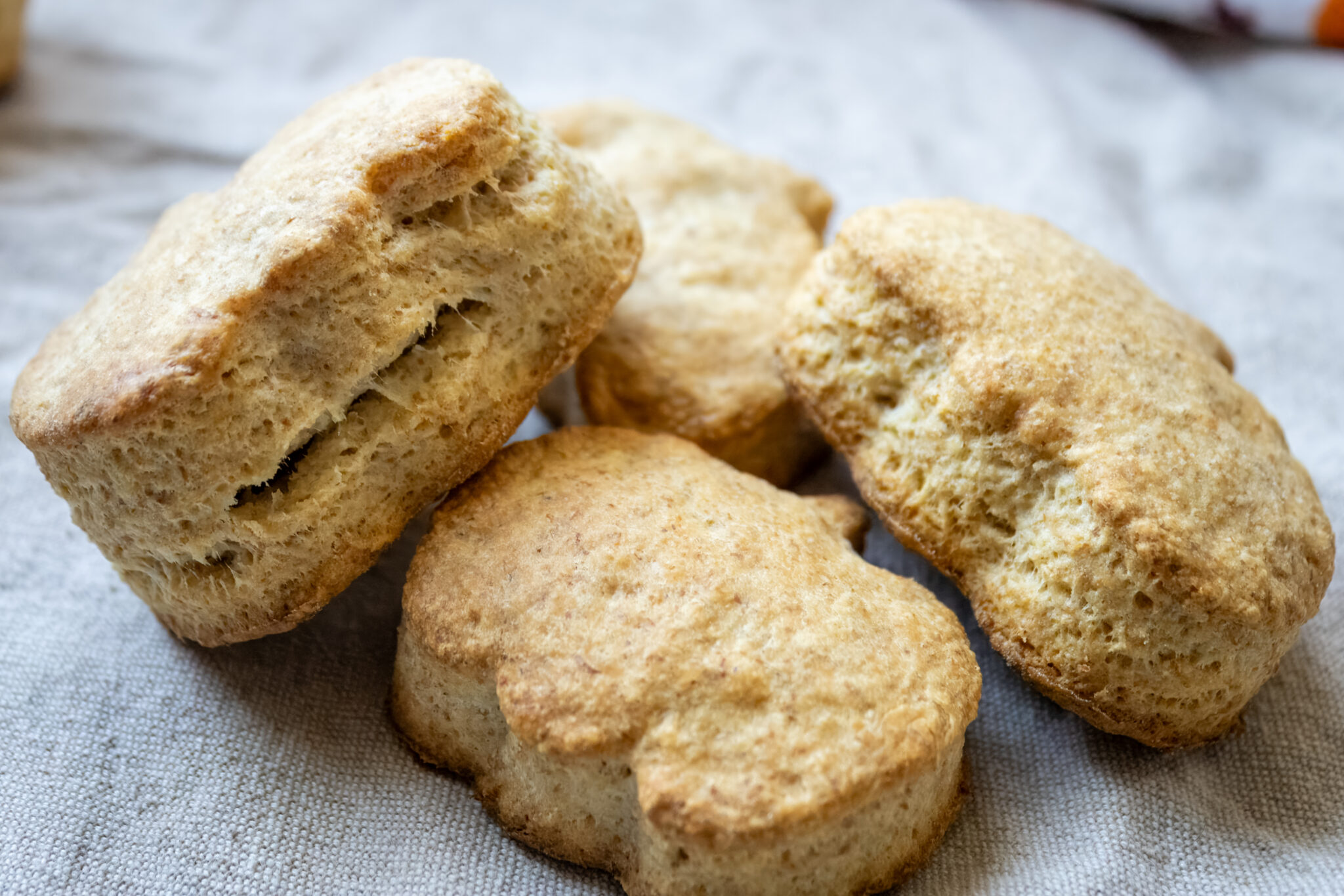 Flaky Sourdough Discard Biscuits - Best Recipe! - Renaissance Alana